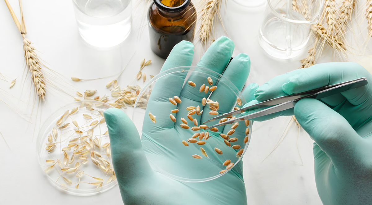 How Much Spermidine is Too Much? – GenuinePurity